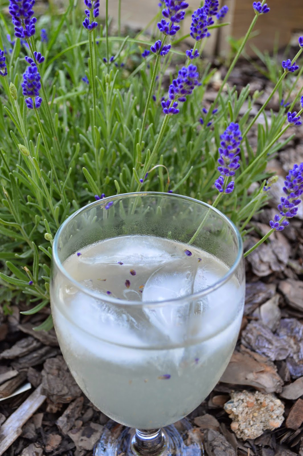 From Scratch: Lovely Lavender Lemonade