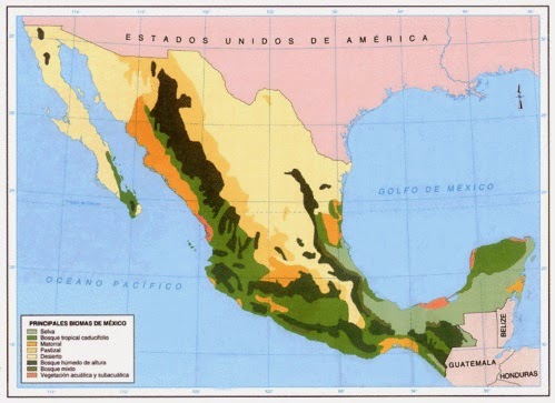 Green Mind: Biomas de Mexico