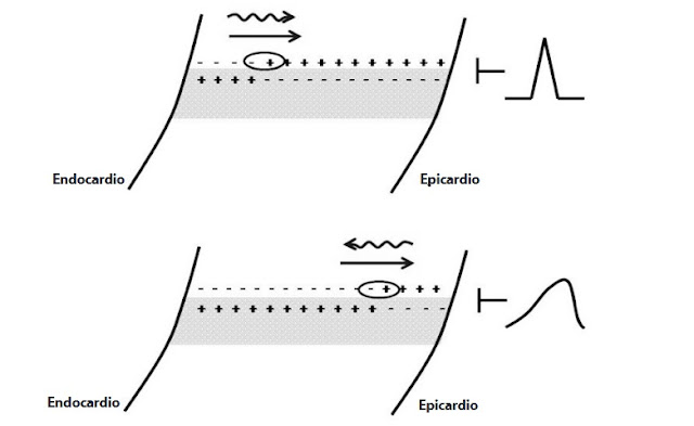 DIPLOMADO AEROMEDICINA Y TRANSPORTE DE CUIDADOS CRÍTICOS: EMERGENCIAS ...