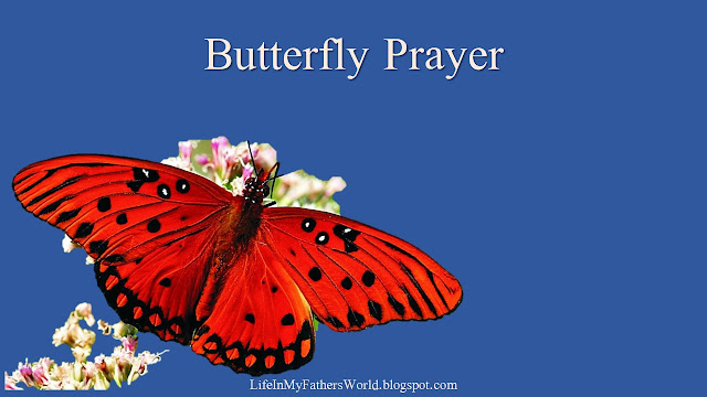 Life In My Father's World: Butterfly Prayer