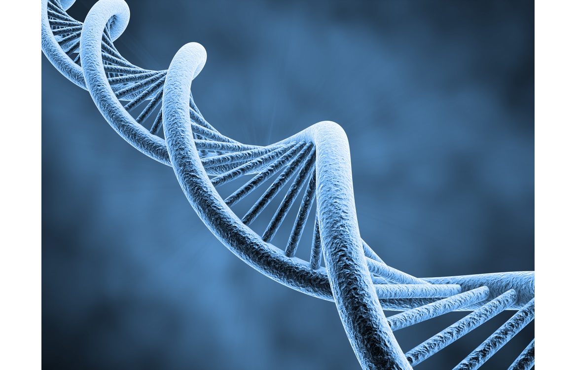 Pengertian dan Materi Kuliah Genetika Dasar - Zedo Petani Berdasi