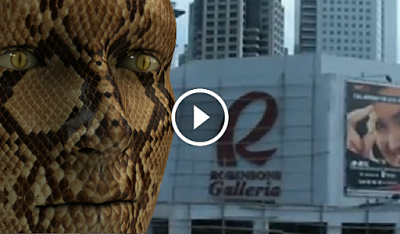 Snake Man in Robinson's Galleria is Real? You'll have goosebumps all ...