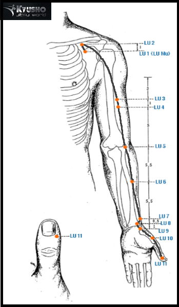 Martial arts - Pressure points: 11. Lung 5 and 6 (LU-5 / LU-6)