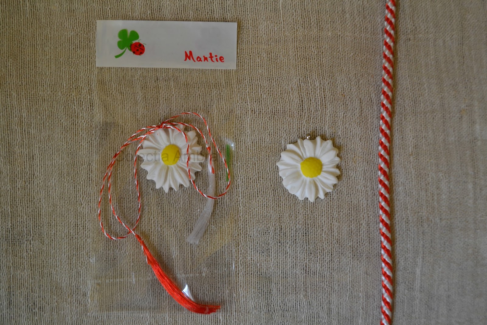 Martisoare realizate manual: enero 2017