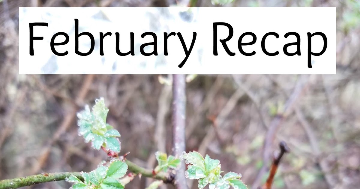 February Recap