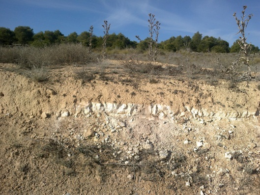 Mi blog de ciencias naturales por Belén Milán: ANALISIS DE SUELOS EN EL ...