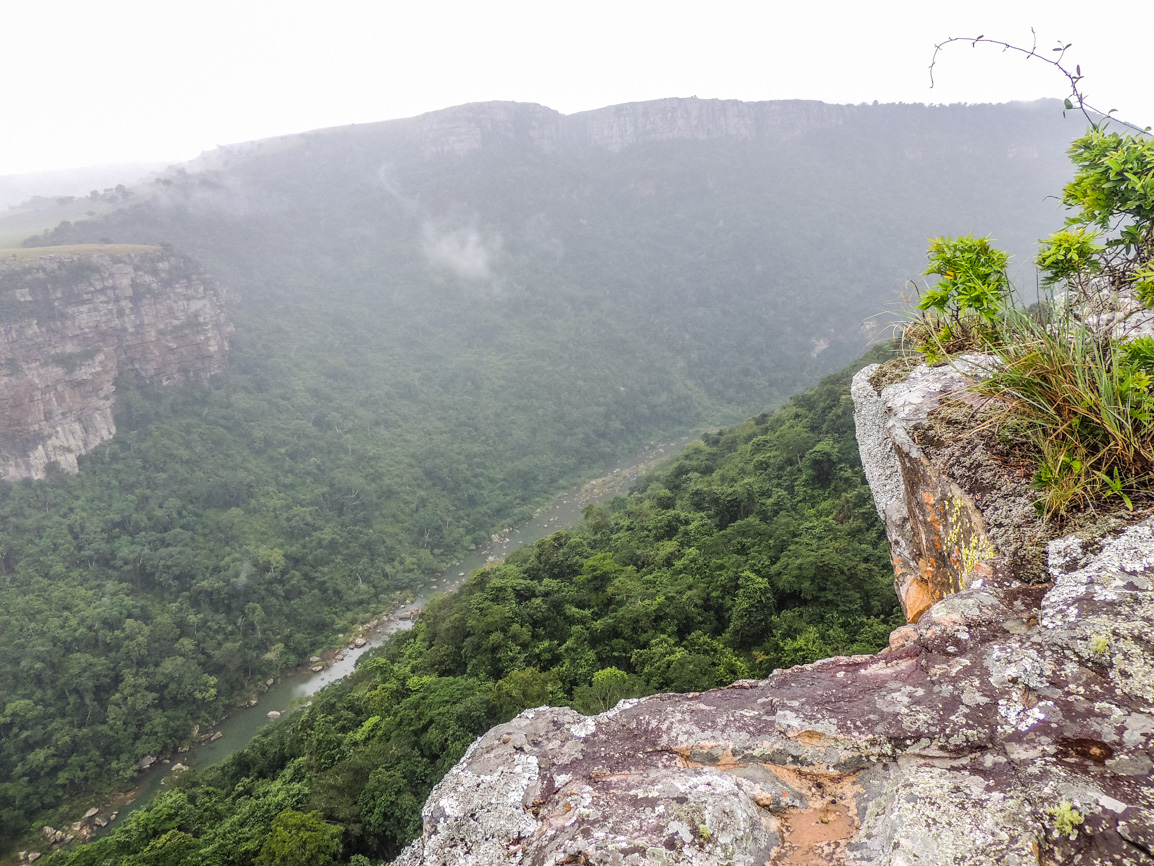 Pondoland C.R.E.W. Blog: Msikaba south - plant survey of the road ...
