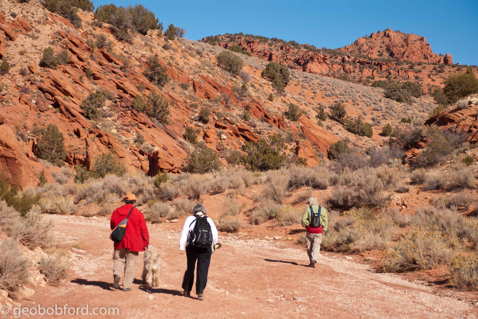 Robert (GeoBob) Ford's BLOG: The Wave, Coyote Buttes, Arizona & Utah USA
