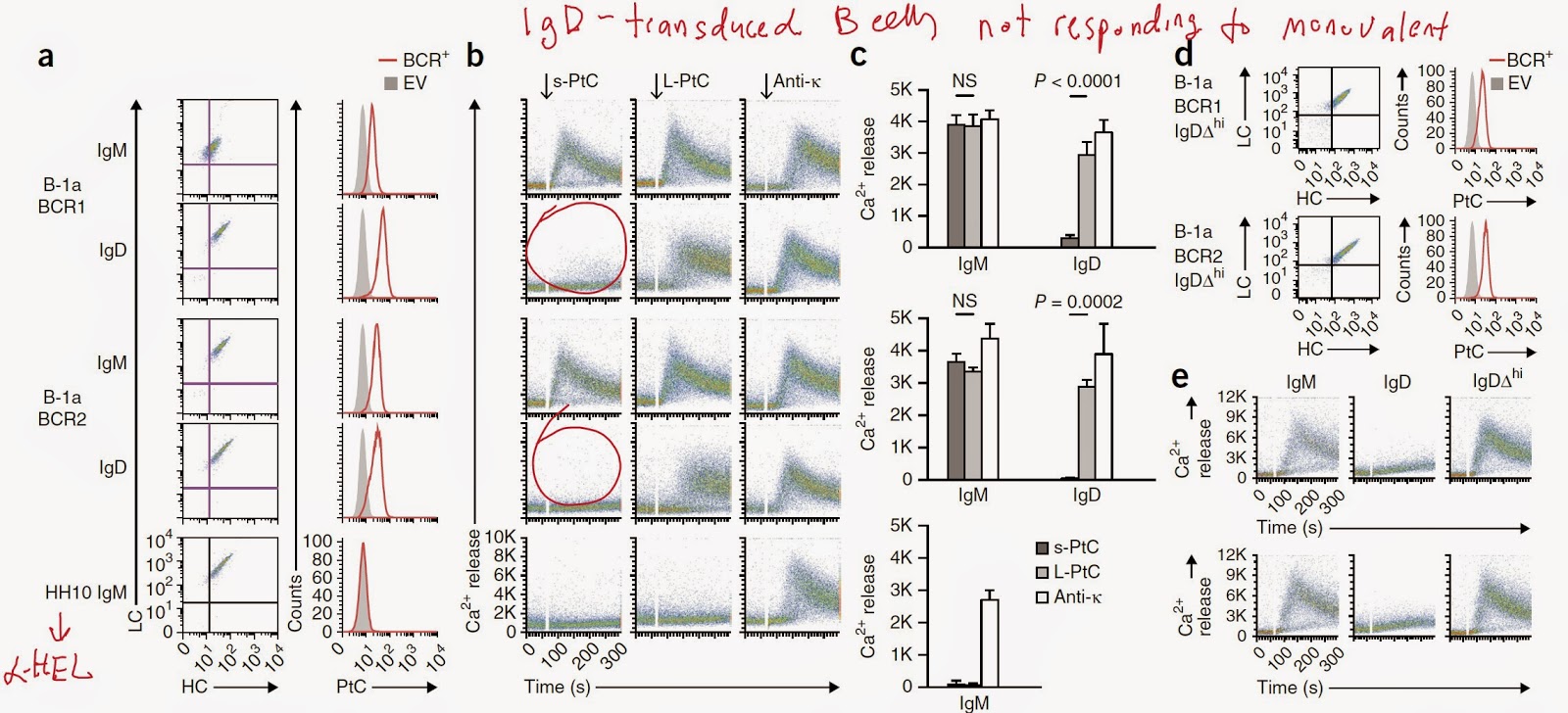 Anergic B cells respond to polyvalent antigens via IgD receptor ...