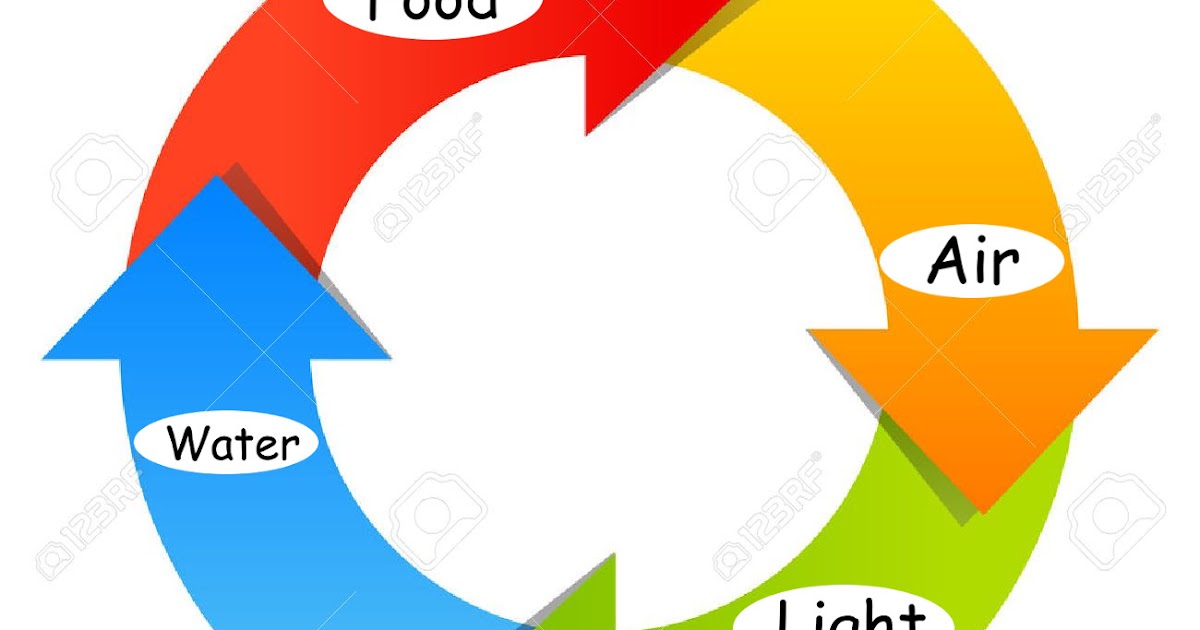 Back To Basics: just remember FAWL and you got it all....