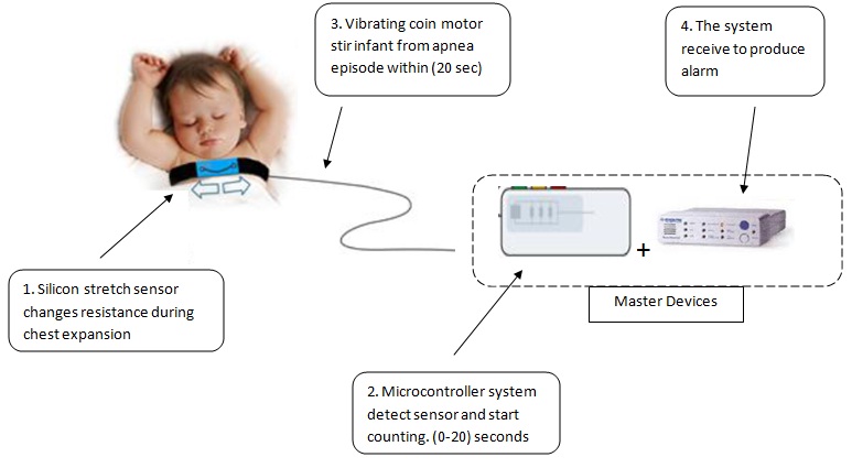 Home Apnea Monitor : 2012