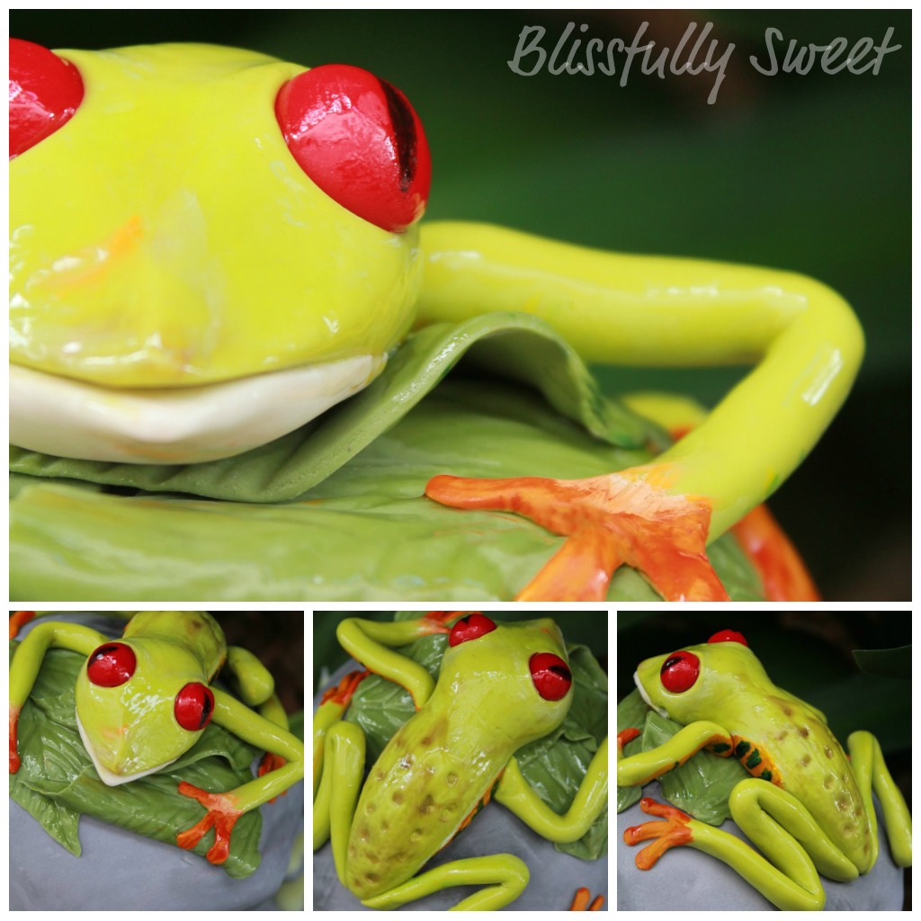 Blissfully Sweet: Red-Eyed Green Frog Birthday Cake