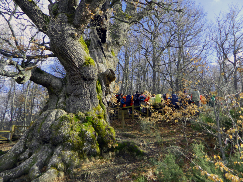 La cueva del tasugo: PEÑA TREMAYA