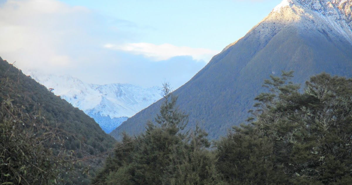 Tramping in the New Zealand backcountry: NZ Bush Adventures: Hawdon ...