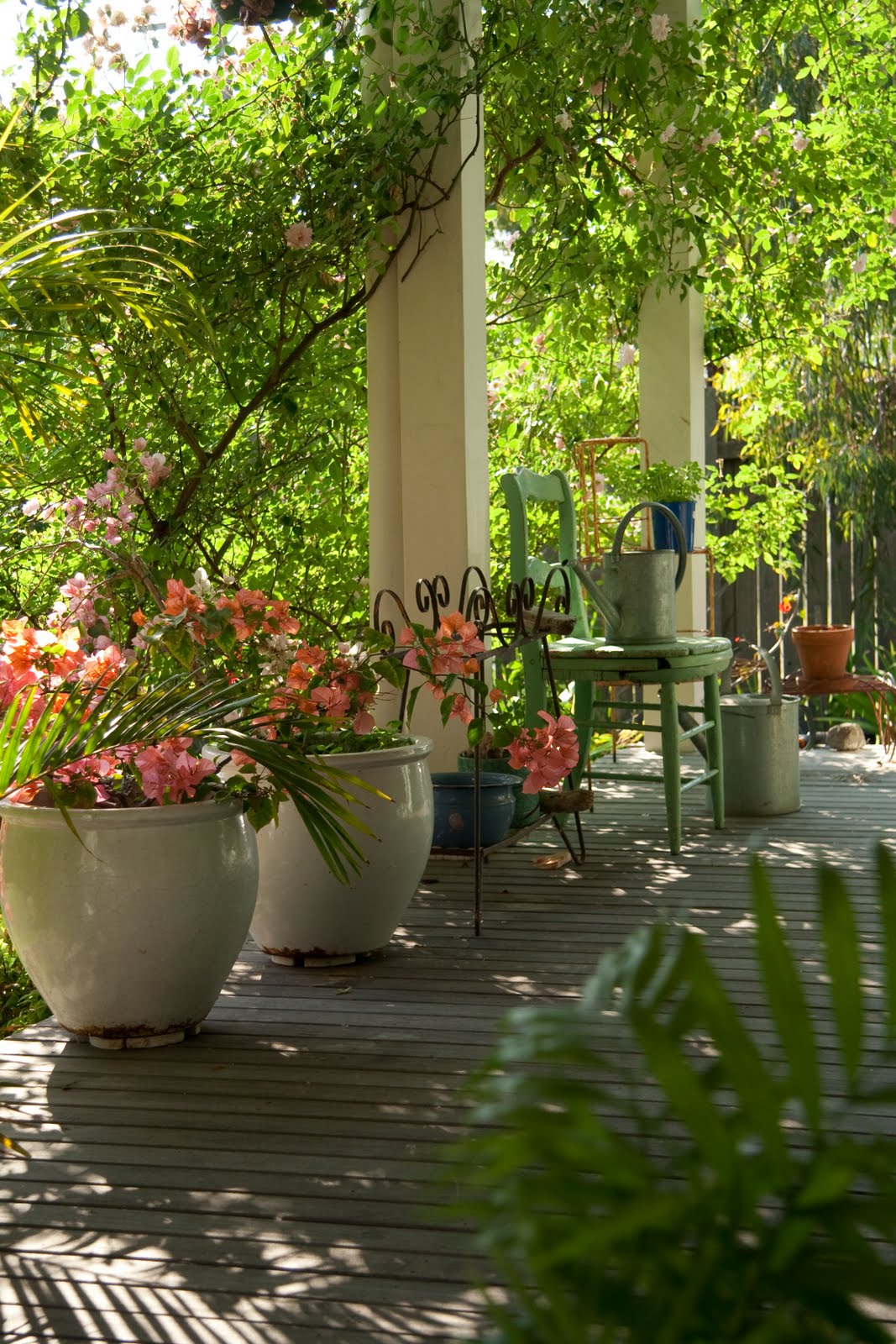 Love in a B and B: Our green verandah