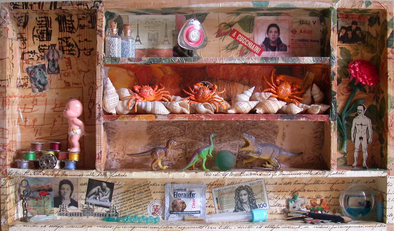 PaperinoSurfista - Donald Duck the Surfer: Il sussidiario - The ...