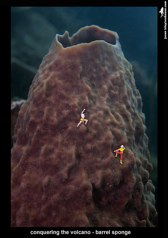 Jason Isley. U/W Miniature Series | Doctor Ojiplático