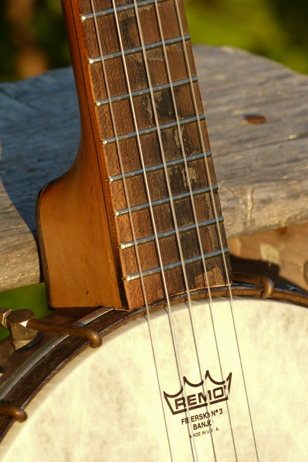 1900s Bruno 5-String Openback Banjo