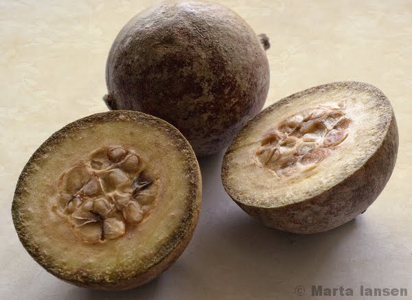 História & Outras Histórias: O jenipapo e seu uso por indígenas e ...