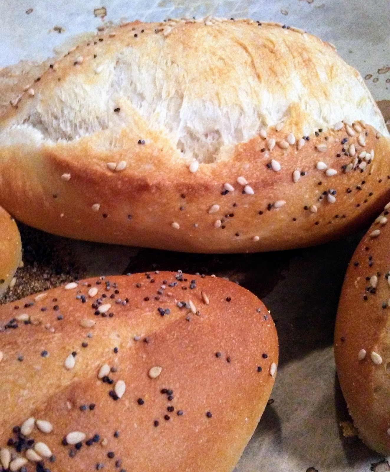 Pizza, Adventures and Mike!: Apple Boli-Italian Hot Dog-Turkey Sausage ...