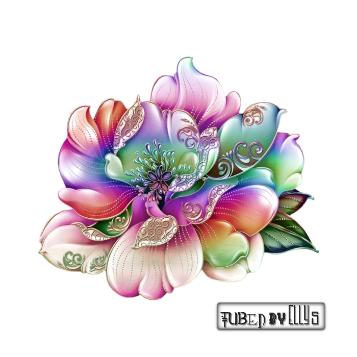 Alles voor en over PSP : TUBES BLOEMEN