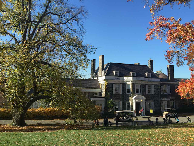 At Wave Hill, the Grace of Trees