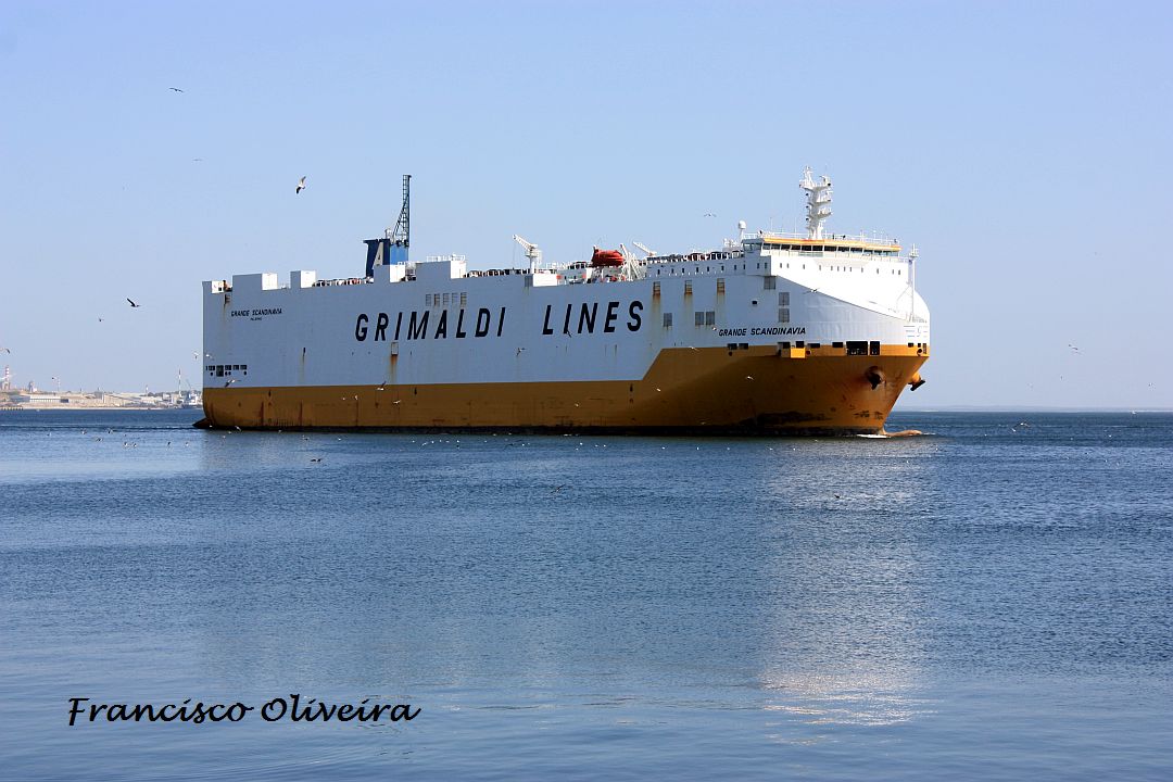 Andarilhar: Navio: GRANDE SCANDINAVIA