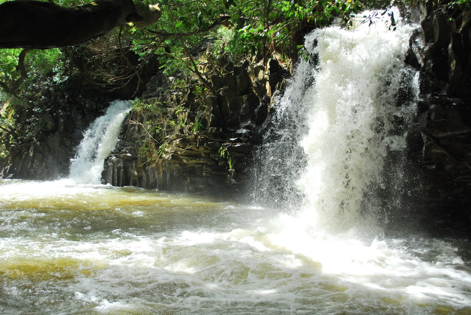 Travels of Note: Hiking Ho’olawa Valley
