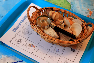 Night of the Moonjellies {FI♥AR} — Delightful Learning