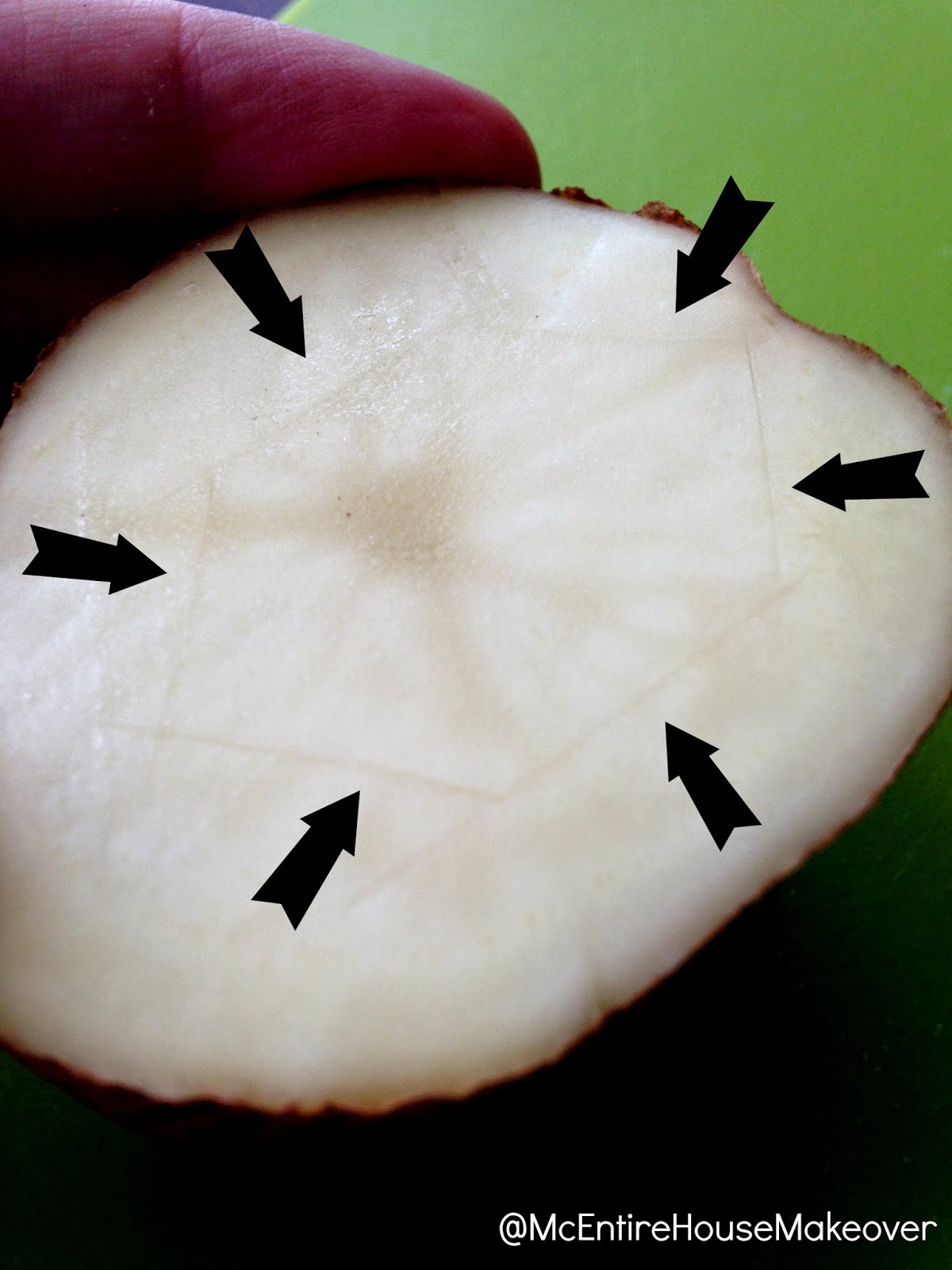 McEntire House Makeover: Potato Stamp Lamp Shade