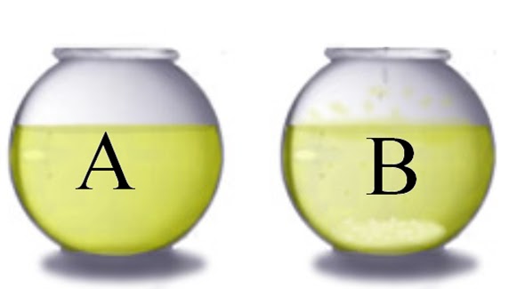 shadow: LAPORAN PENELITIAN TES URINE