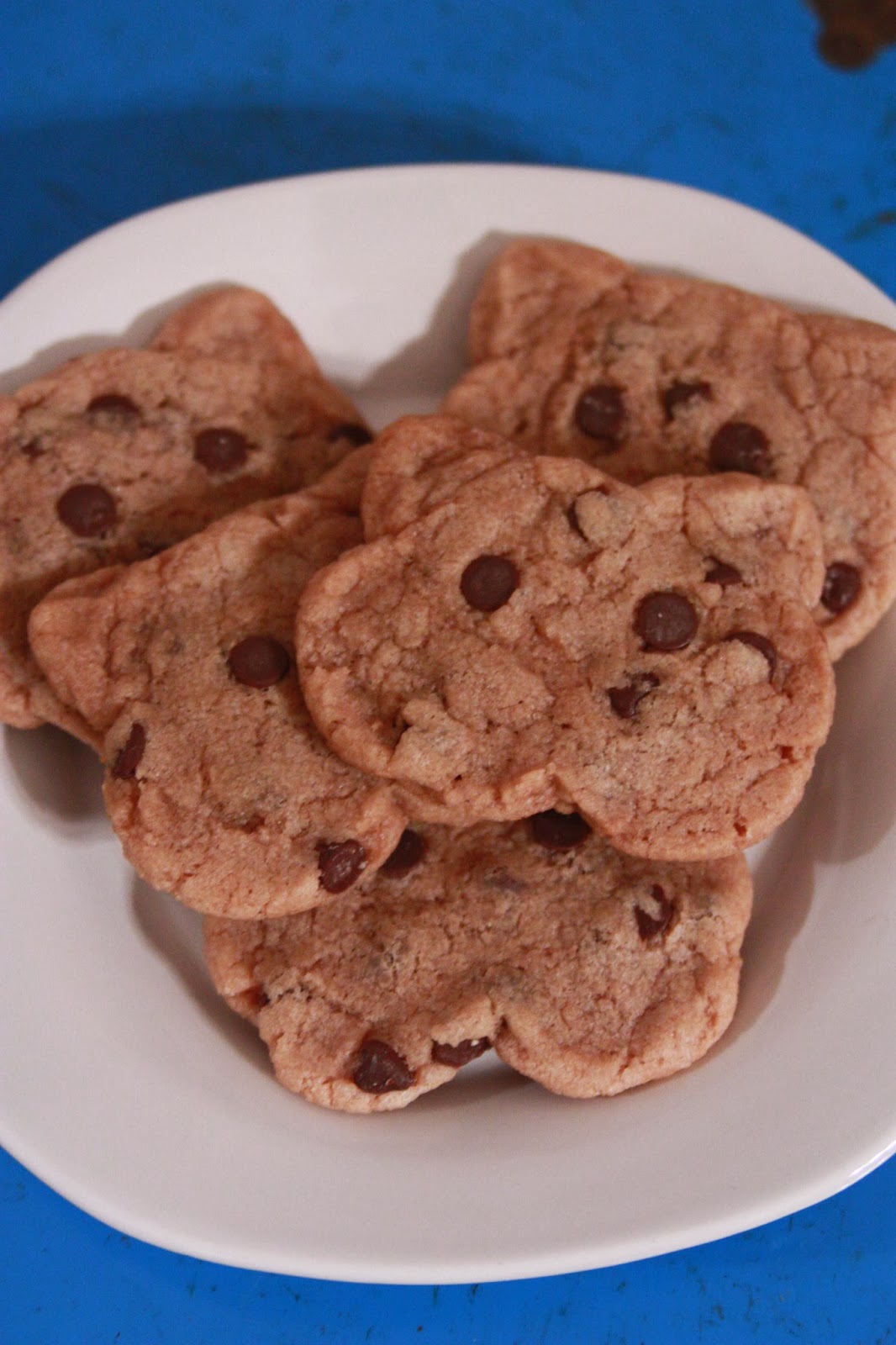 Vegan Chocolate Chip Cat Cookies