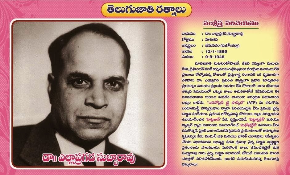 CHODAVARAMNET: LEGENDS OF INDIA - DR YELLAPRAGADA SUBBA RAO GARU'S ...