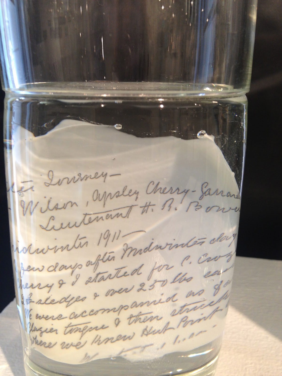 Current Exhibitions & Project on the horizon