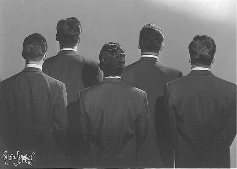 Doowopheaven: The Goofers