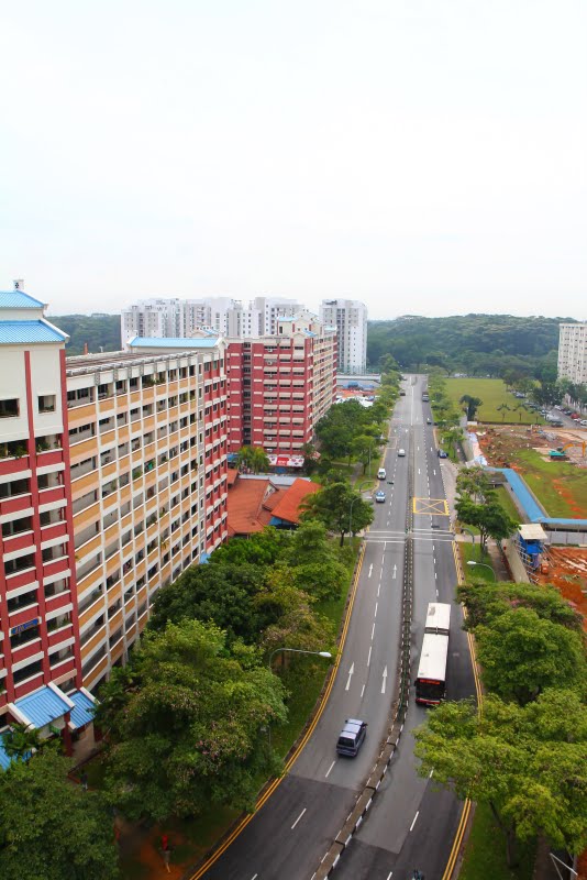 nesting @ jade spring: D-Day + 1174 : The Ritual