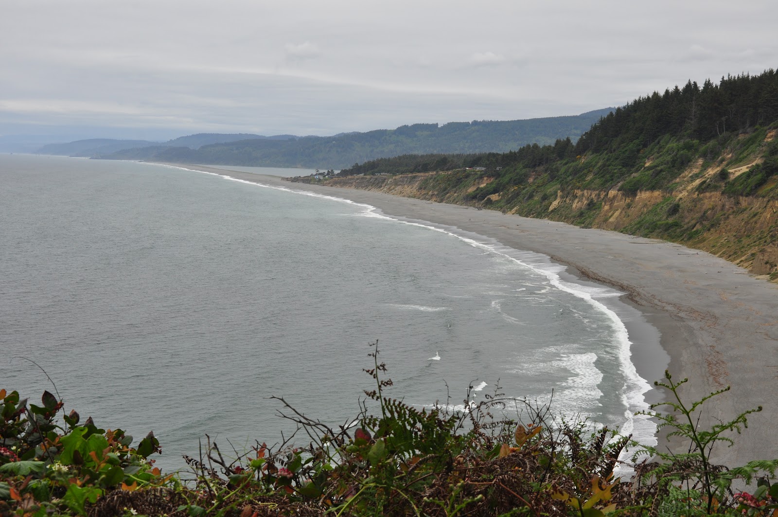 Nomad's Notes from somewhere on the road: Fern Canyon and Patrick's Point