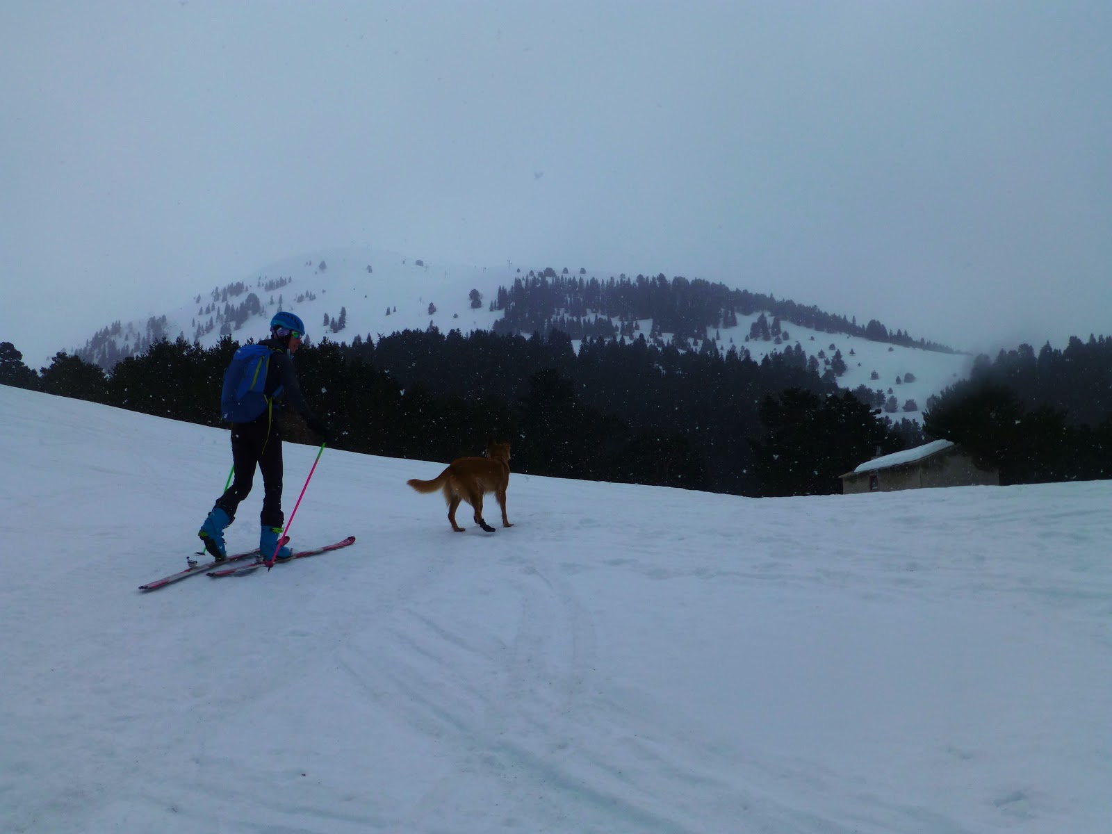 "HOKUS POKUS": Era Cauva (2224m) desde Betren. Visita a Era Tuca, la ...