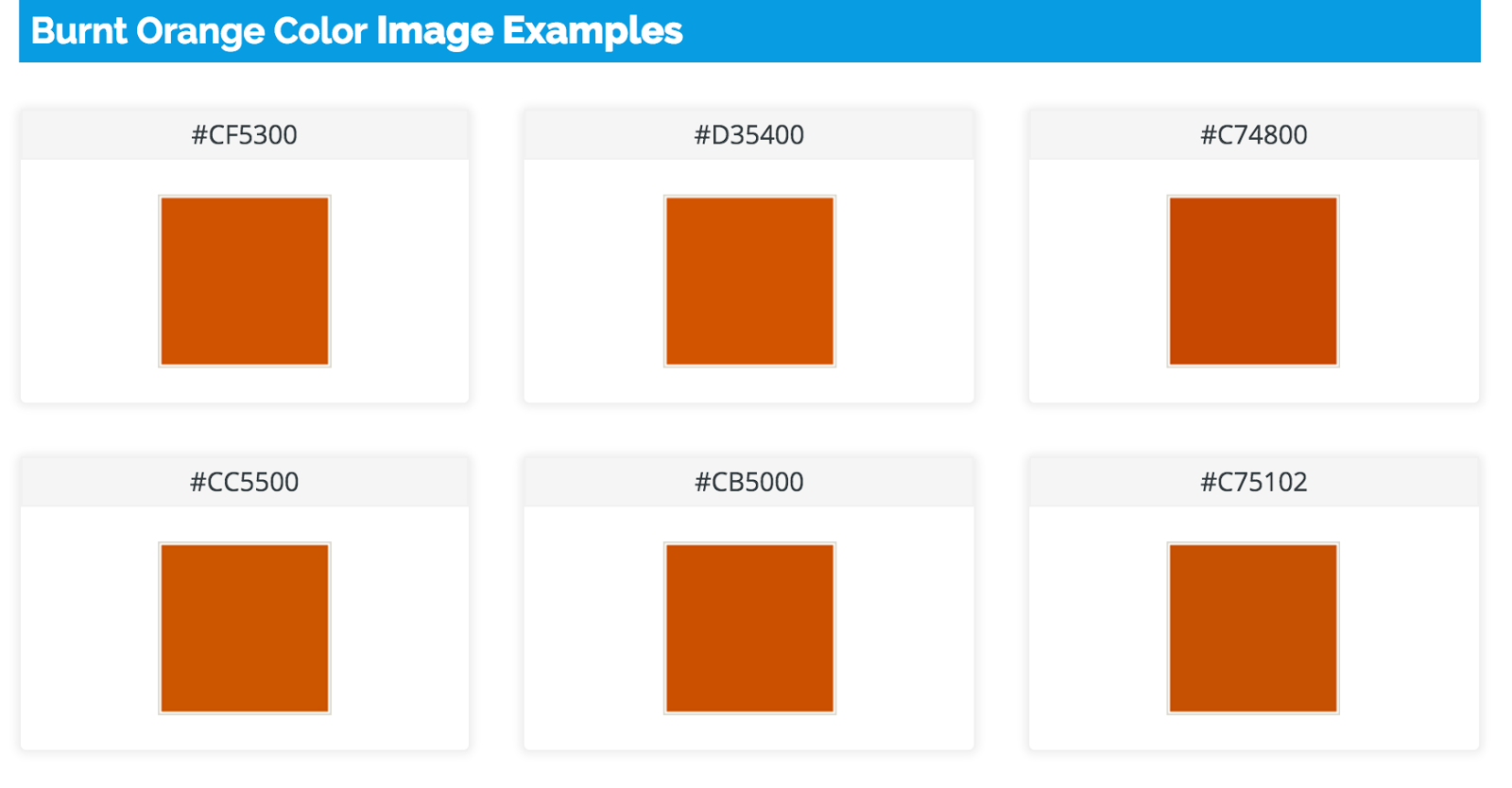 ROSSO ARAGOSTA: Step 3: I CODICI DEL COLORE