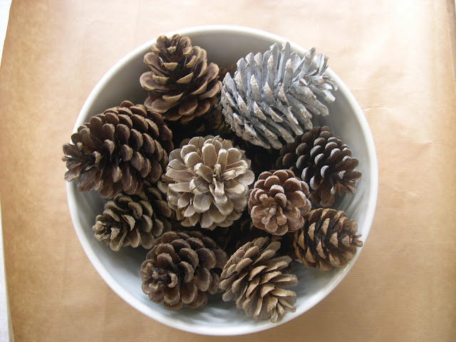 vado a vivere in campagna: Tutti i colori delle pigne