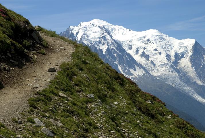 Kaila's Quiet Moments: Two Different Paths...