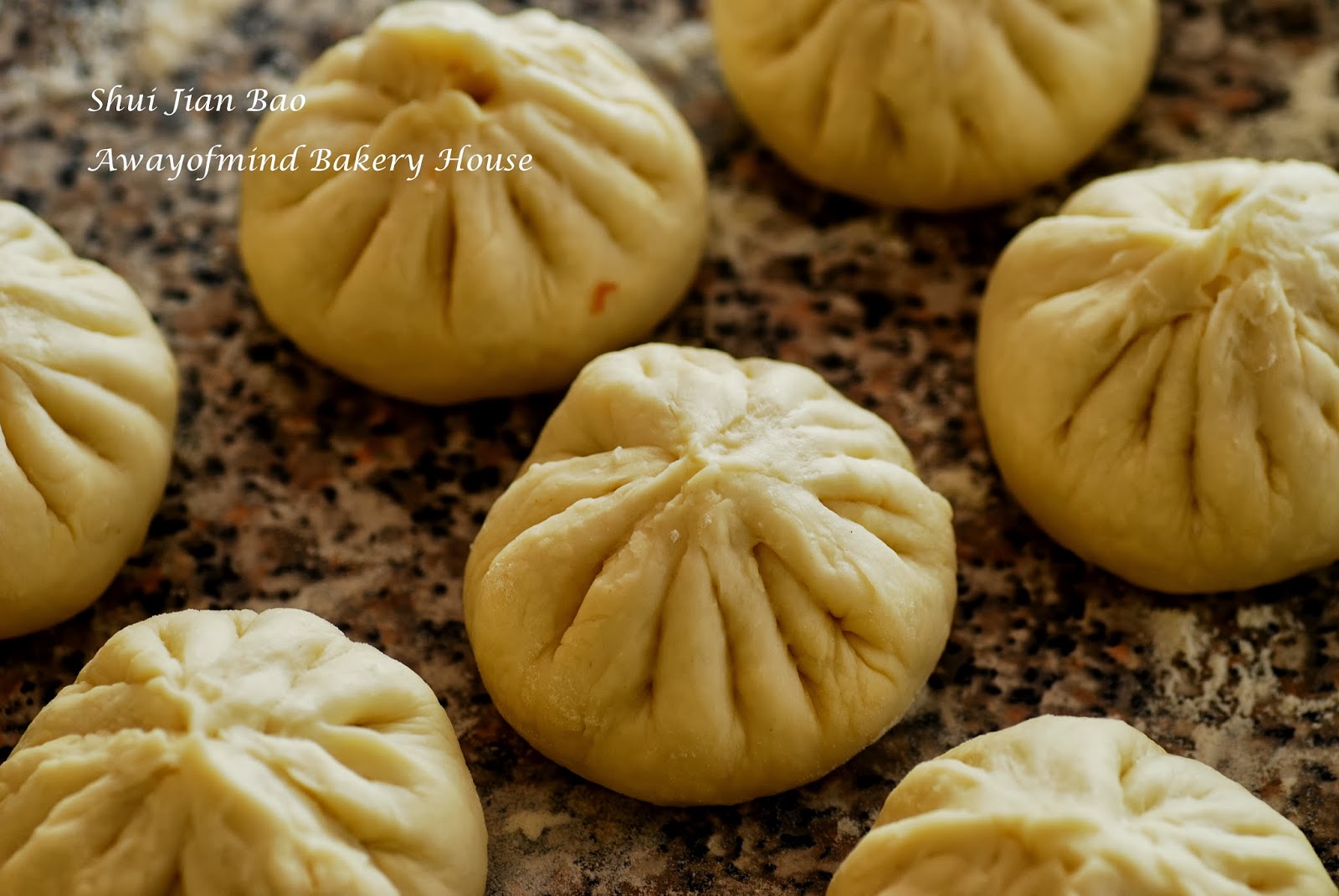 Awayofmind Bakery House: Shui Jian Bao / Sheng Jian Bao (Pan-Fried Pork ...