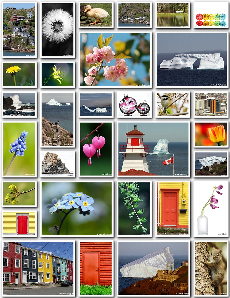 Bitstop: June Collage