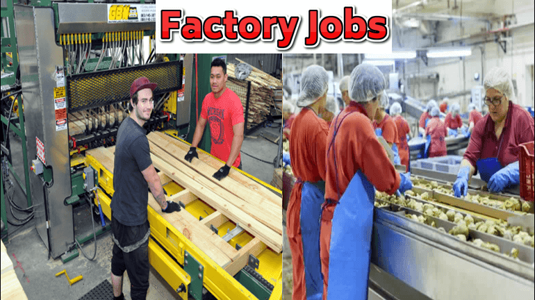 Factory Workers Vacancies in New Zealand