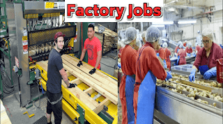 Factory Workers Vacancies in New Zealand - Worldswin: jobs apply ...