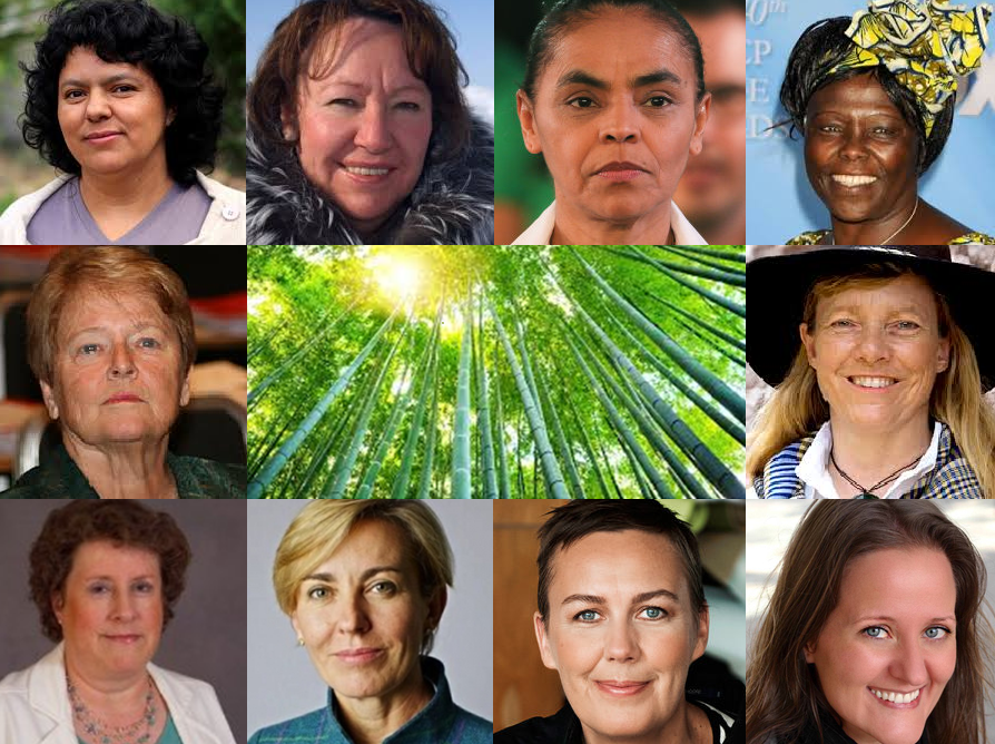 10 Women at the Forefront of Environmentalism and Sustainability ...