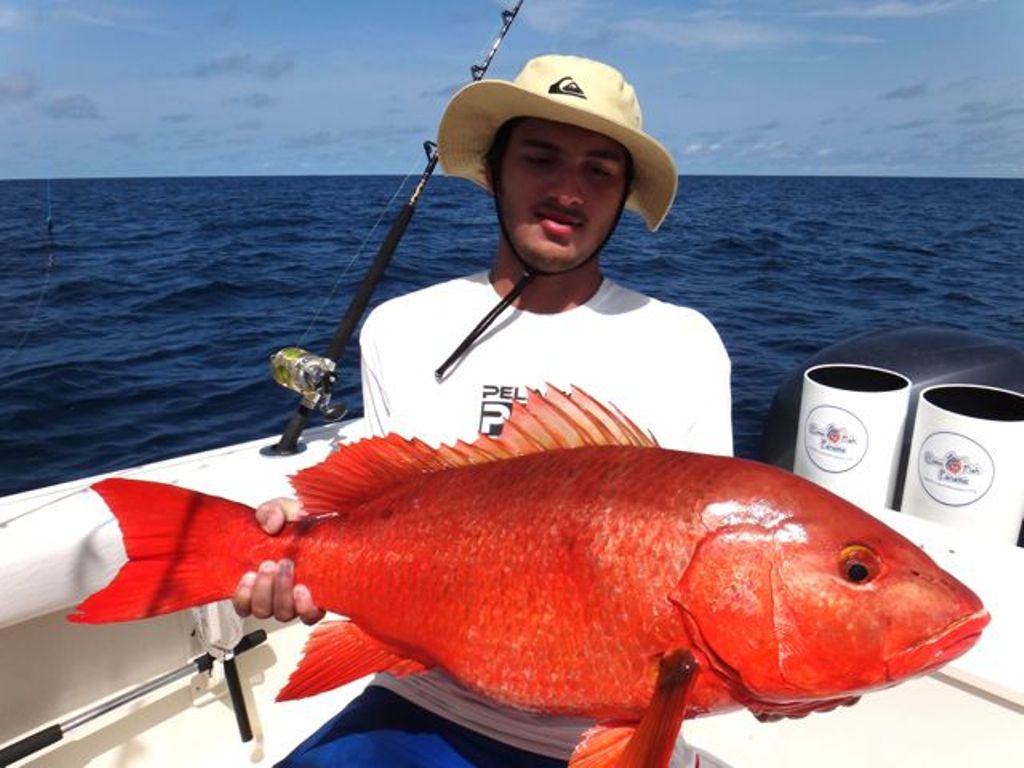 Red Snapper Suppliers, Buy Whole Red Snapper, Red Snapper Size, Red ...