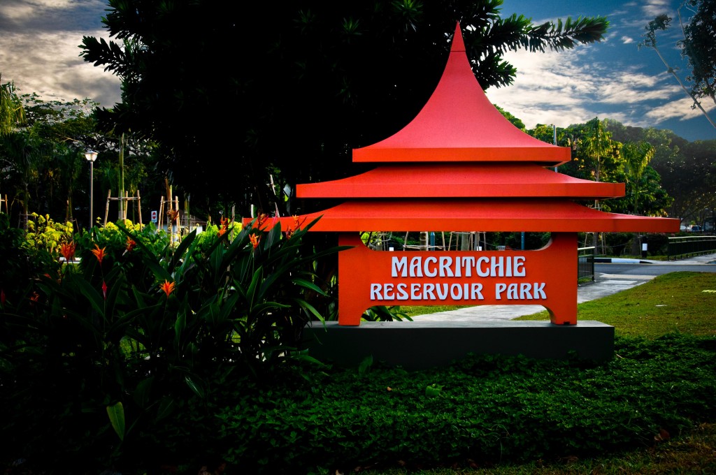 The Heaven on Earth - Mac Ritchie Reservoir,Singapore | MallSoup