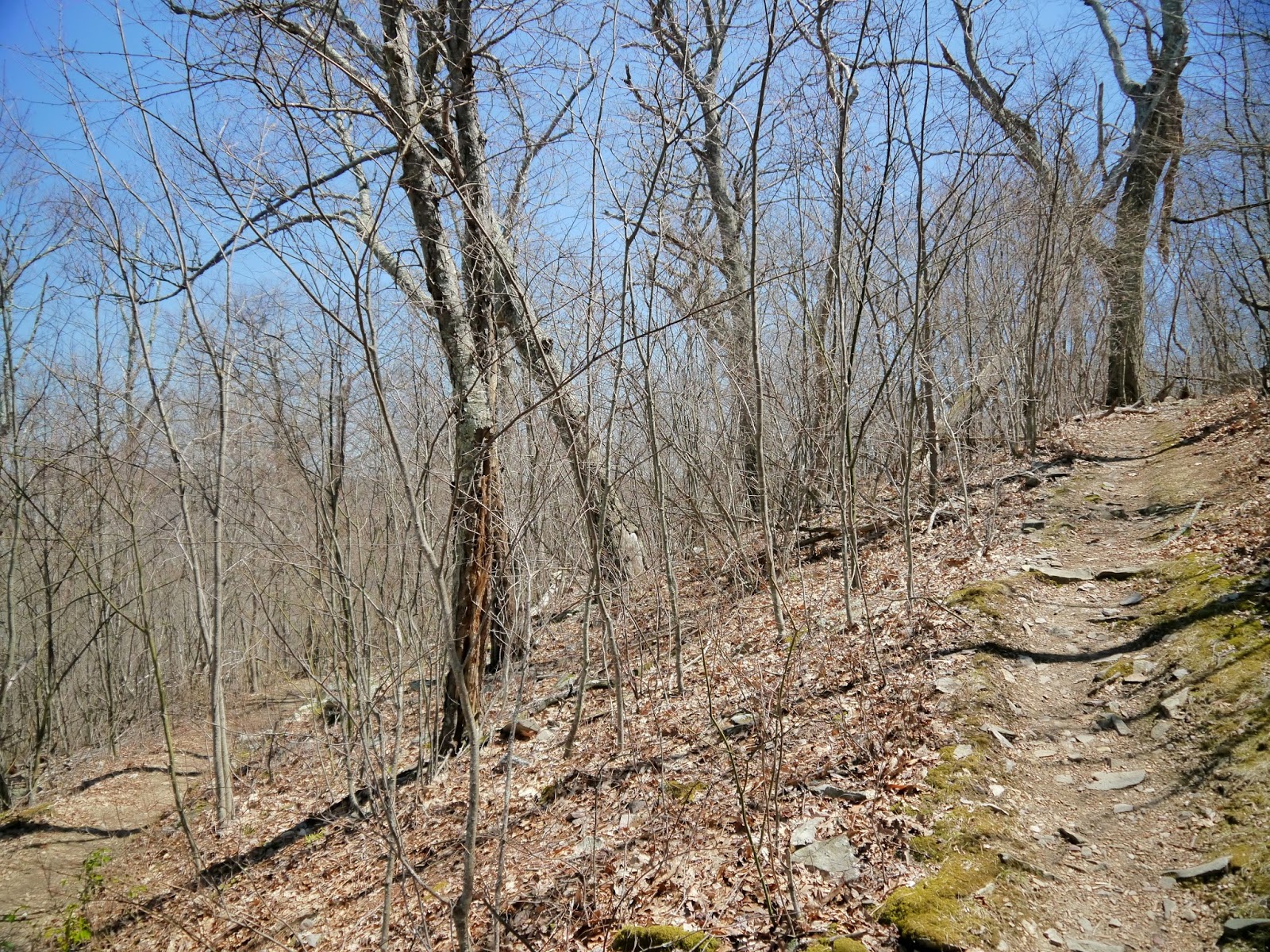 American Travel Journal: Wildcat Ridge Trailhead to Riprap Trailhead ...