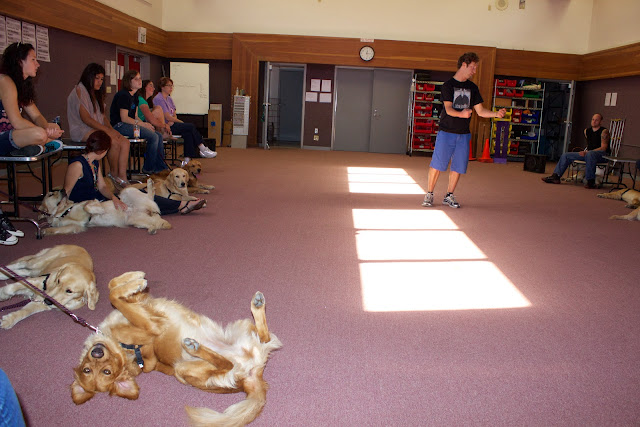 FRiSKY FiTNESS: The fit will survive...the frisky fit will thrive!: The ...